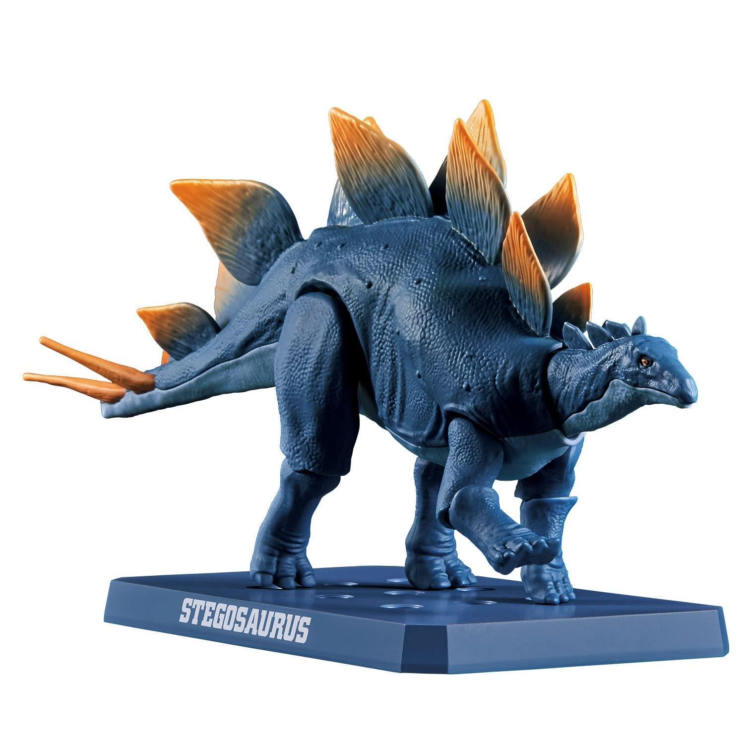 Planosaurus Stegosaurus Color Coded Plastic Model | Manscale Models